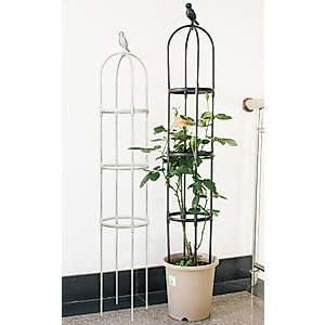 Climbing Vine Rack Rose Trellis Outdoor 120cm Home for Garden Balcony Durable Clematis Plants Plant Support Frame