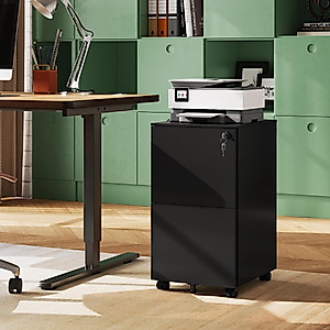 DEVAISE 2-Drawer Rolling File Cabinet with Lock, Metal Filing Cabinet for Home Office, Fully Assembled Under Desk Cabinet, Black