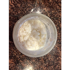 Tibetan Kefir Grains Mushrooms Bulgaros Pajaritos Probiotic Healthy Diet Natural