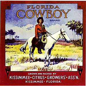 TYmall Wall Art Metal Hanging Sign Kissimmee Florida Cowboy #2 Orange Citrus Fruit Crate Box Label Art Print Metal Tin Sign 12X12 Inch Wall Decor Sign