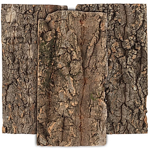 POPETPOP Desktop Reptile Tank Decor Desktop Decor 3Pcs Indoor Terrarium Background Vivid Aquarium Decor Delicate Reptile Bark Reptile Natural Cork Bark Backdrop Cork Aquarium Bark