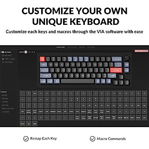 Keychron V2 Wired Custom Mechanical Keyboard Knob Version, 65% Layout QMK/VIA Programmable with Hot-swappable Keychron K Pro Blue Switch Compatible with Mac Windows Linux Carbon Black(Non-Transparent)