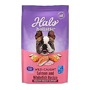 Halo Purely for Pets Holistic Dog Food, Complete Digestive Health Wild-Caught Salmon and Whitefish Recipe, Dry Dog Food Bag, Small Breed Formula, 3.5-lb Bag