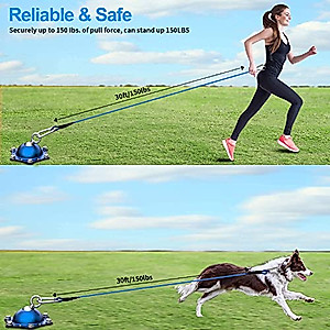 [New] 2023 Dog Tie Out Cable and Stake,360°Swivel Dog Anchor,30FT Dog Chain Leash,Heavy Dog Yard Stake Rust Proof Dog Run Can Hold 2 Dog Up to 150LBS,Suitable for Outdoor Camping