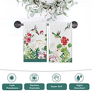 Seliem Summer Hummingbird Geranium Flower Bird Kitchen Dish Towel 2 Pack, Tropical Palm Leaf Monstera Plant Floral Hand Drying Baking Cloth, Spring Botanical Greenery Green Decor Home Decoration 18x26