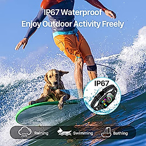 DINJOO Dog Bark Collar 2 Pack,Rechargeable Bark Collar for Large Medium Small Dogs,Smart Anti Barking Training Collar with 8 Adjustable Sensitivity,Bark Shock Collar with Beep Vibration Shock