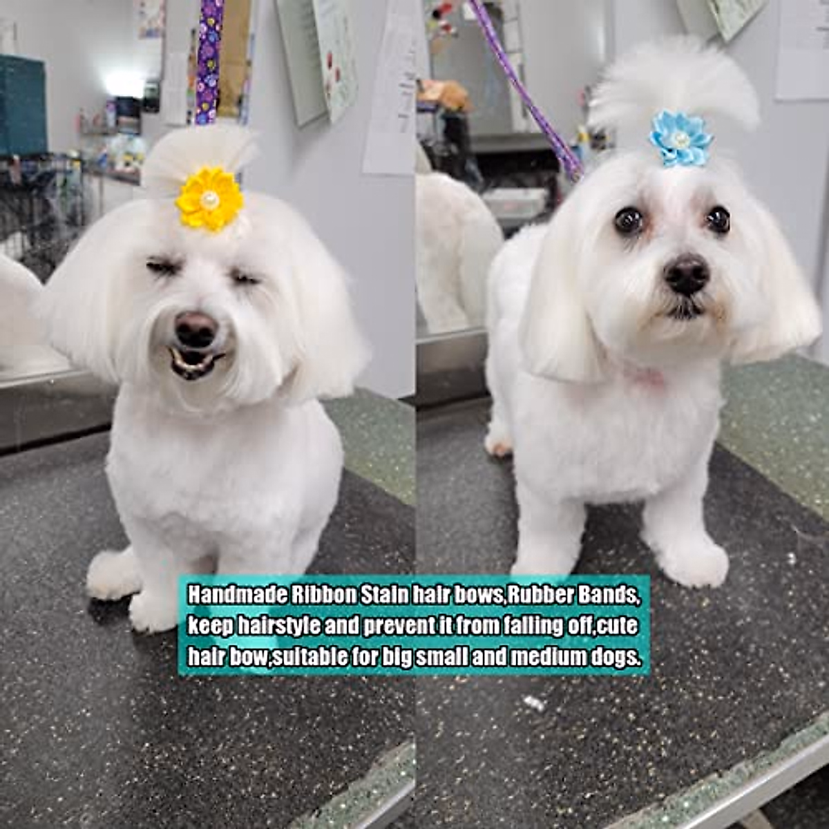 YAKA 40PCS(20Paris) Cute Dog Hair Bows with Rubber Bands Pearls Flowers Topknot Dog Bows Pet Grooming Products 20 Colors