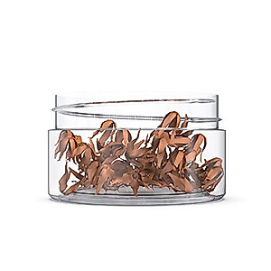 ZAVBE 60 Pack 2oz Plastic Jars with Black Lids BPA Free Small 60 gram Jar Round Clear Refillable storage Slime containers with Airtight Lids for Cosmetics, Sugar Scrub, Body Butters, Beauty Products.