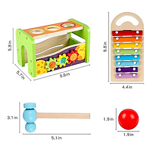 Canuan 4-in-1 Hammering Pounding Toys, Pound & Tap Bench with Slide Out Xylophone, Multifunctional Montessori Wooden Musical Pounding Toys for 1 2 3+ Years Boy Girl Baby Toddlers