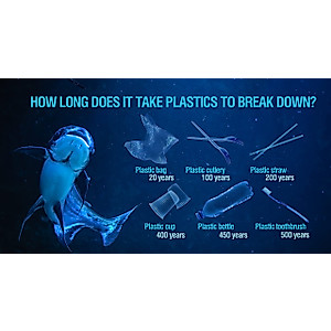 EveEco 4-Pack Bamboo Dog & Pet Toothbrushes - 2 Brush Heads Large & Small with Extra Long 8.5" Use with Toothpaste to Eliminate Cavities, Bad Breath, Tartar for Puppies, Cats, Kittens