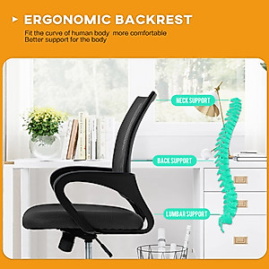 Furniture of America Knoll Ergonomic Desk Chair, Mesh Computer Chair with Lumbar Support& Armrest, Adjustable Home Mid Back Task Chair Modern Executive Rolling Swivel for Home Office, Black