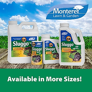 Monterey - Sluggo - Wildlife and Pet Friendly Snail & Slug Killer, OMRI Listed for Organic Gardening - 5-Pounds