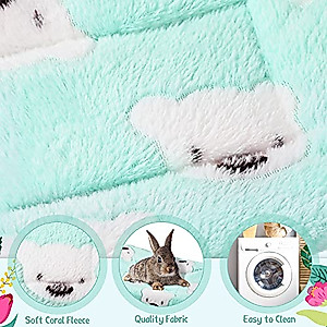 Jetec 2 Pieces Guinea Pig Bed Rabbit Bed Small Animal Hamster Warm Mats Winter Warm for Bunny Hamster Squirrel Hedgehog Chinchilla Small Animal Accessories(Green, Blue,Bear Pattern)