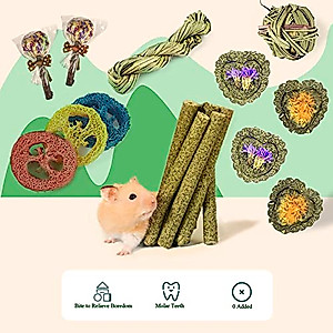FIPASEN Rabbit Chew Toys for Teeth, 16PCS Natural Timothy Hay Chew Toy, Improve Dental Health for Bunny/Chinchilla/Guinea Pig/Hamsters/Holland Lop, Small Rodent Pet Molar Teeth Treats Toys