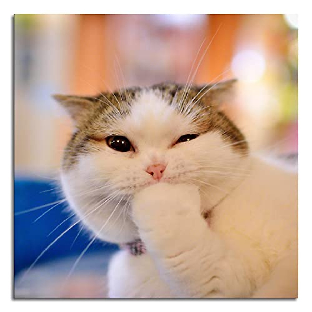 Fisting Cat Funny Animal Poster Print Art Picture 9302 Wall Art Canvas Prints Poster For Home Office Decorations With Framed 16"x16"