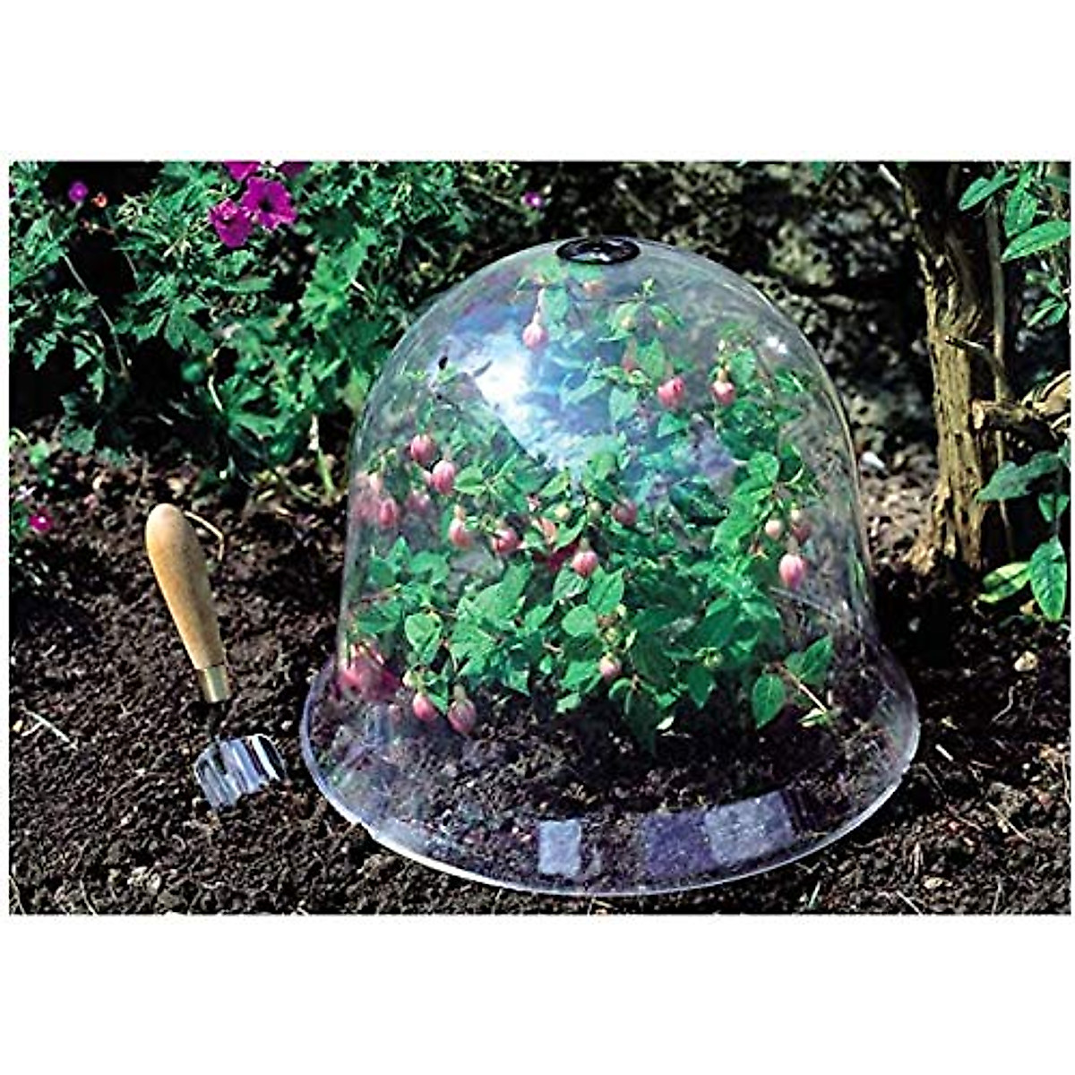 KiaoTime Pack of 10 Reuseable 10" Plastic Greenhouse Garden Bell Cover Germination Cover Frost Guard Freeze Protection Dome with Bonus 30 Metal Stakes+10 Tags