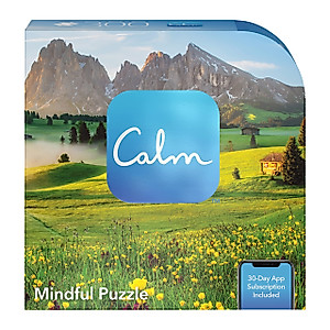 Spin Master 300-Piece Calm Jigsaw Puzzle for Relaxation, Stress Relief, and Mood Elevation, for Adults and Kids Ages 8 and up, You Belong Here