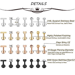 Masedy 16Pcs 16G 316L Stainless Steel CZ Labret Monroe Lip Rings Cartilage Helix Tragus Nose Piercing 6-8MM (C: 28Pcs 6MM)
