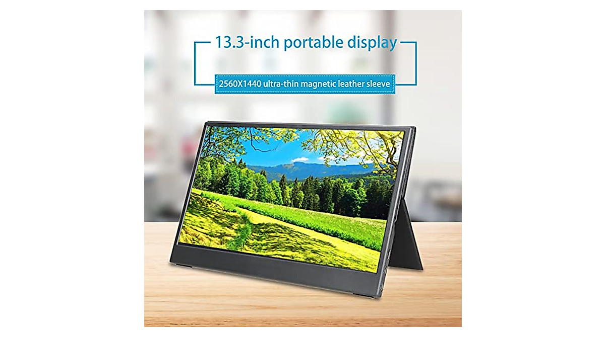 Dyegold 13.3-Inch Portable 2K UHD Monitor with HDR and Dual Speakers