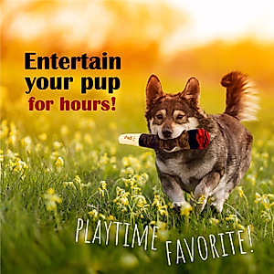 Dog Toy Doobie | Funny Dog Toy | Cool Dog Toys | Gifts for Dogs | Funny Squeaky Dog Toys | Novelty Dog Toys | Dog Birthday Gift (2 Pack)