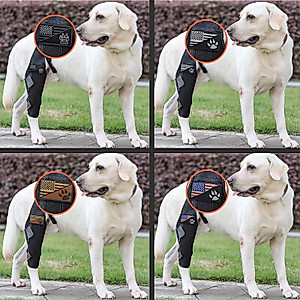 2X Support Dog Knee Brace with Metal Strips for Joint Pain Relief, Dog Leg Brace for Torn Acl Hind Leg, Rear Leg Brace with Adjustable Traction Belt for Cruciate Ligament Injury, Arthritis (Large)