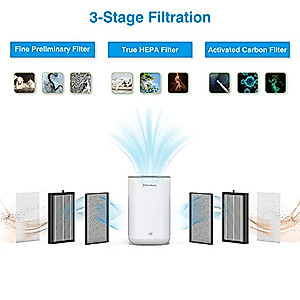 Storebary Air Purifier Replacement, C350-RF True HEPA High-Efficiency Activated Carbon Filter Fits for C350 (2 Pack)