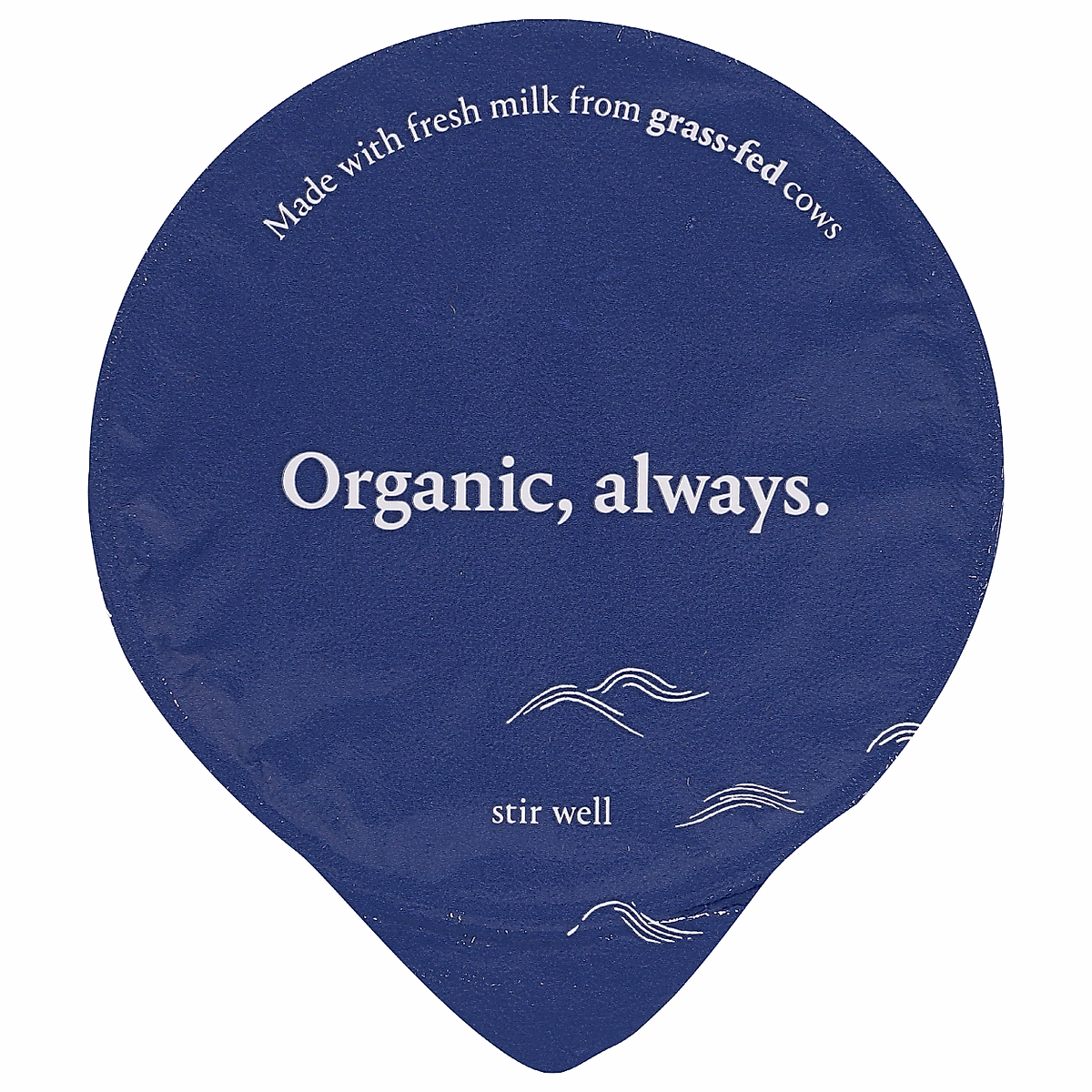 Norr Organic Organic Plain Whole Milk Skyr, 5.3 OZ