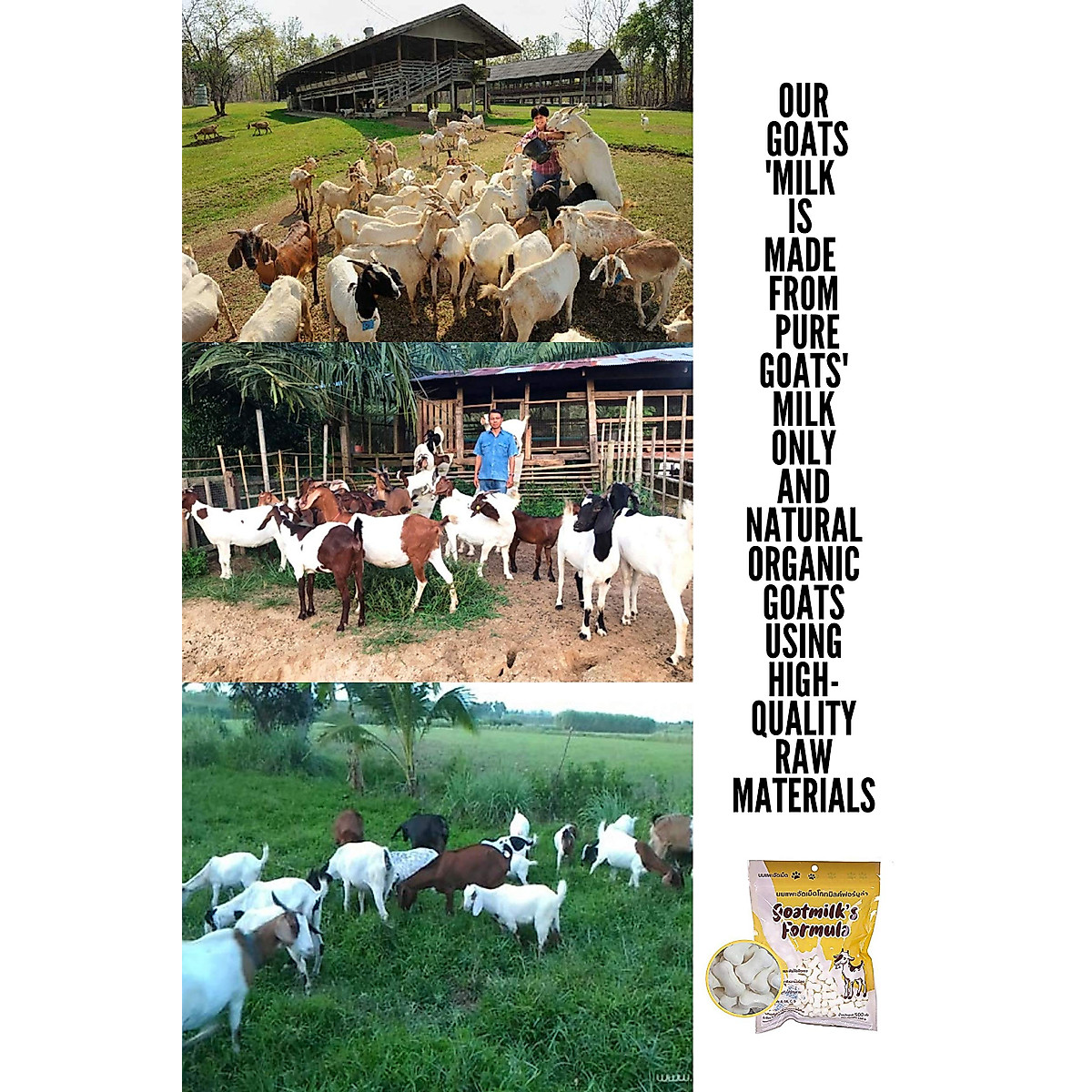 GOATMILK FUMULA 100% Sterilized Goat Milk Replacer 300 Tablets for Dog Puppy Cats Pet Milk Replacer Supplement High Protein Calcium Nourish Bones Teeth Strengthens Immunity Milk Replacement 500 g.