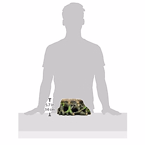 Coralife Floating Turtle Trunk, Large, Black