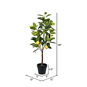 Vickerman Everyday 28" Artificial Potted Lemon Tree - Lifelike Home Or Office Decor - Premium Faux Potted Tree with Real Touch Leaves - Maintenance Free