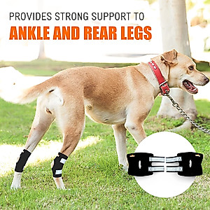 NeoAlly - Short Rear Leg Hock Brace, Dog Leg Brace for Rear Leg, Hock & Ankle Support, Dog Brace for Torn ACL & CCL, Dog Leg Sleeve with Reflective Straps, Small, Black, 1 Pair