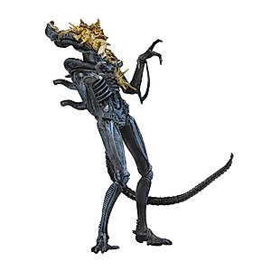 NECA - Aliens 7" scale action figure - Series 12 Xenomorph Warrior Blue (Battle Damaged)