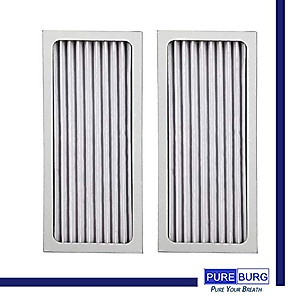 PUREBURG 2-Pack Replacement HEPA Filters Compatible with Hamilton Beach TrueAir Compact Pet Air Purifiers 04383 04384 04385 04386, Part # 990051000