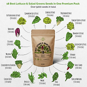 Organo Republic 18 Lettuce & Salad Greens Seeds Variety Pack 9200+ Non-GMO Heirloom Lettuce Seeds for Indoors & Outdoors Garden, Hydroponics, Aerogarden - Arugula, Kale, Spinach, Swiss Chard, Lettuce