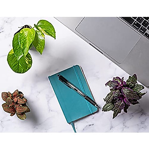 Altman Plants Live Houseplants (6PK), Indoor Plants for Delivery Prime, Live Plants and Gardening Gifts for Plant Lovers, Planters for Indoor Plants with Potting Soil, Live House Plants Indoors Live