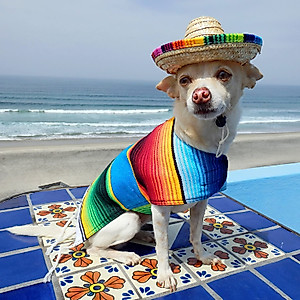 Baja Ponchos 4 Pack Fiesta Dog Chew Toys and Sombrero - Mexican Squeak Plush Toys - Dog Gifts for Chihuahuas - Taco - Tequila - Hot Sauce - for All Breeds