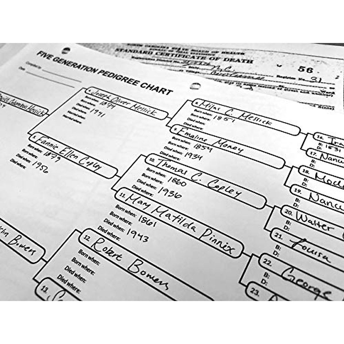 Five Generation Pedigree Charts for Genealogists (7-pack) | Archival-Quality Genealogy Forms for Ancestry