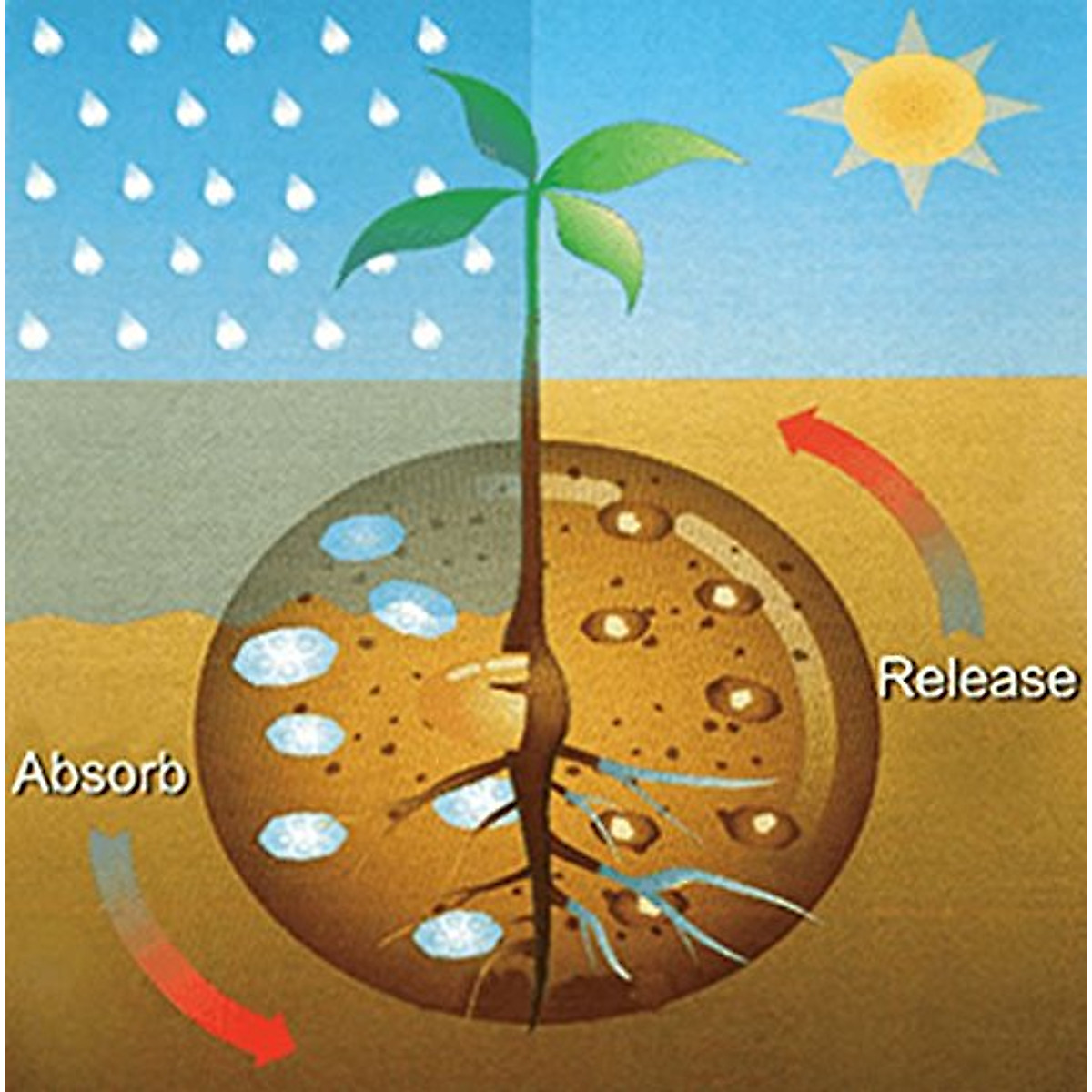 1 Pound Soil Moisture Trap Potassium Polyacrylate Polymers Soil Vigor