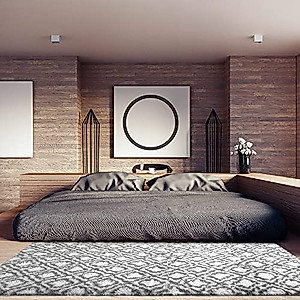 Iplusmall Area Rugs for Living Room Bedroom, 5x8 Feet Modern Shag Rug, Fluffy Large Nursery Rug, Plush Accent Rugs for Girls Kids Room,Baby Nursery Decor,Geometric Rug,Trellis Rug,Floor Rug White