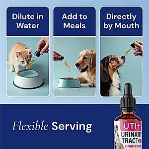 Cat & Dog UTI Treatment - UTI Medicine & Urinary Tract Infection Treatment for Pets - Kidney Support - Bladder Control for Dogs Incontinence - Cat UTI Remedy - Cranberry Supplement - US Made - 2fl.oz