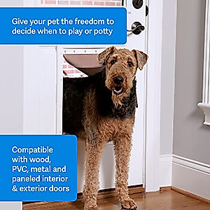 PetSafe Plastic Pet Door Large with Soft Tinted Flap, Paintable White Frame, for dogs up to 100 lb.