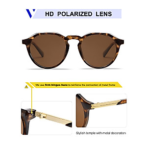 VANLINKER Trendy Round Polygon Polarized Sunglasses for Men Women Vintage Retro Sun Glasses VL9775 Brown/Tortoise