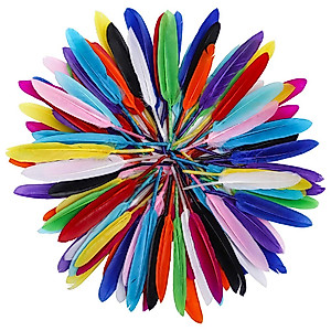 Coceca 240pcs Colorful Goose Feathers 4-6 Inches Natural Feathers for DIY Crafts