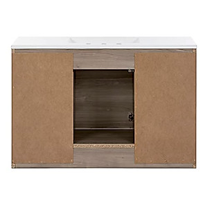 Spring Mill Cabinets D48V40264 Tarni Single Bathroom Vanity with 4 Drawers, Cabinet, and White Sink Top, Forest Elm