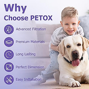 FLT4850PT HEPA Filter B Replacement Compatible with AC4825 AC4300 AC4800 AC4900 AC4850, 4 True HEPA Filters & 8 Activated Carbon Pre-Filters, Pet Pure Version, Purple