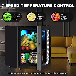 Iorbur FLB-45 Small Mini Fridge Freestanding 75 Can Beverage Cooler Refrigerator with Adjustable Shelving Glass Door for Beer Soda or Wine Perfect Office Home or Bar Black