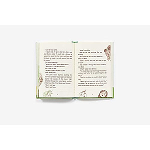 Iggy Peck and the Mysterious Mansion: The Questioneers Book #3