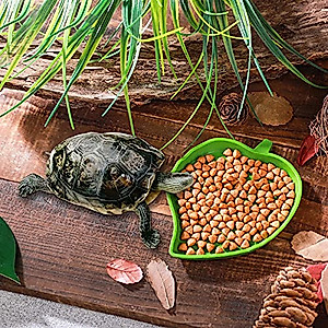 Reptile Feeding Bowl, 4pcs Leaf Reptile Water Food Feeder Bowl Worm Dish, Reptile Feeding Tongs Long Tweezers Cricket Clamp Bug Scooper Feeder Tool for Tortoise Snake Lizard Gecko Bearded Dragon