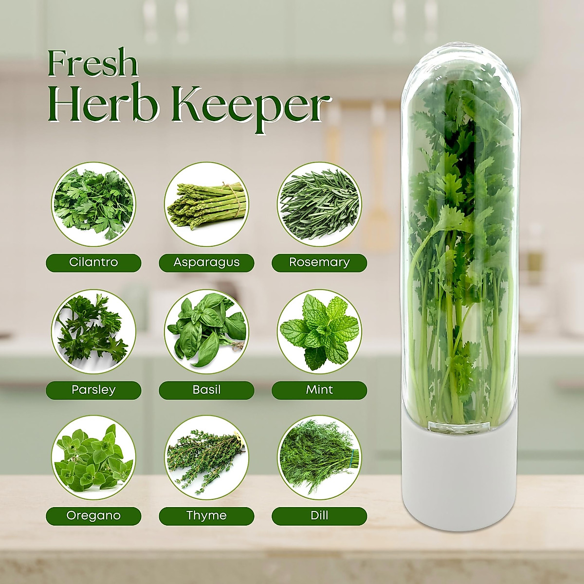 Happy Shopper Deluxe Herb Keeper for Refrigerator Set of 3 – Compact Herb Saver with Built-in Ventilation, and Water Reservoir – Keeps Herbs Fresh Longer in Fridge or Countertop