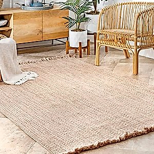 nuLOOM Courtney Braided Indoor/Outdoor Area Rug, 4' x 6', Tan